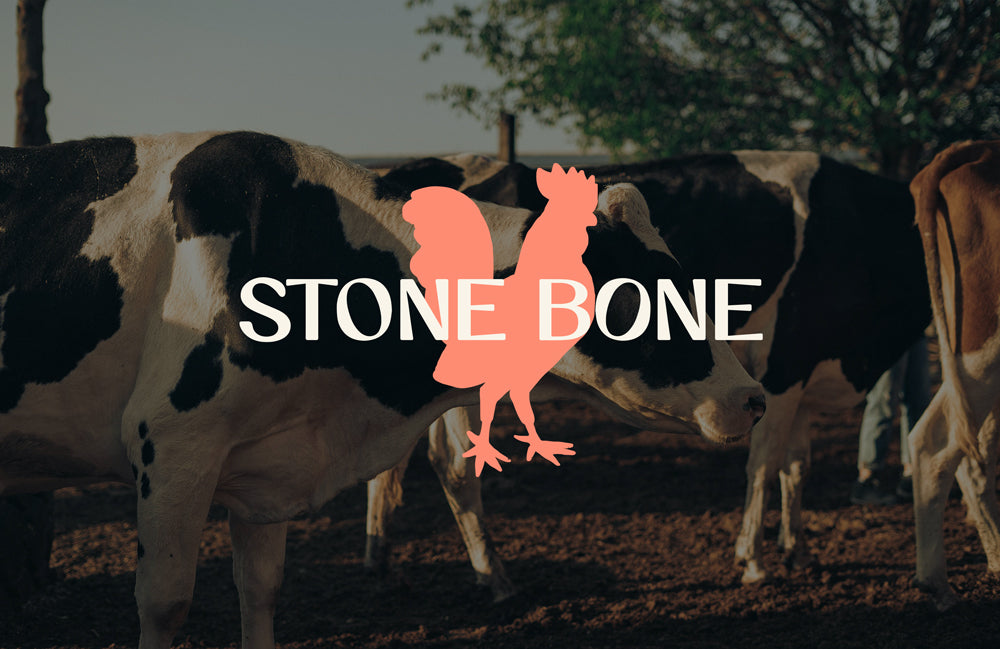 Stone Bone